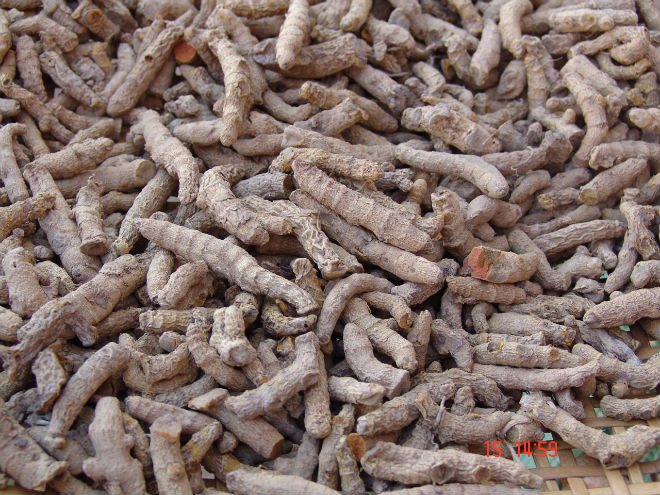 ‏AL SHAER TRADING CORPORATION