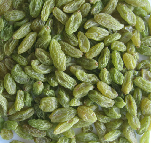 ‏AL SHAER TRADING CORPORATION